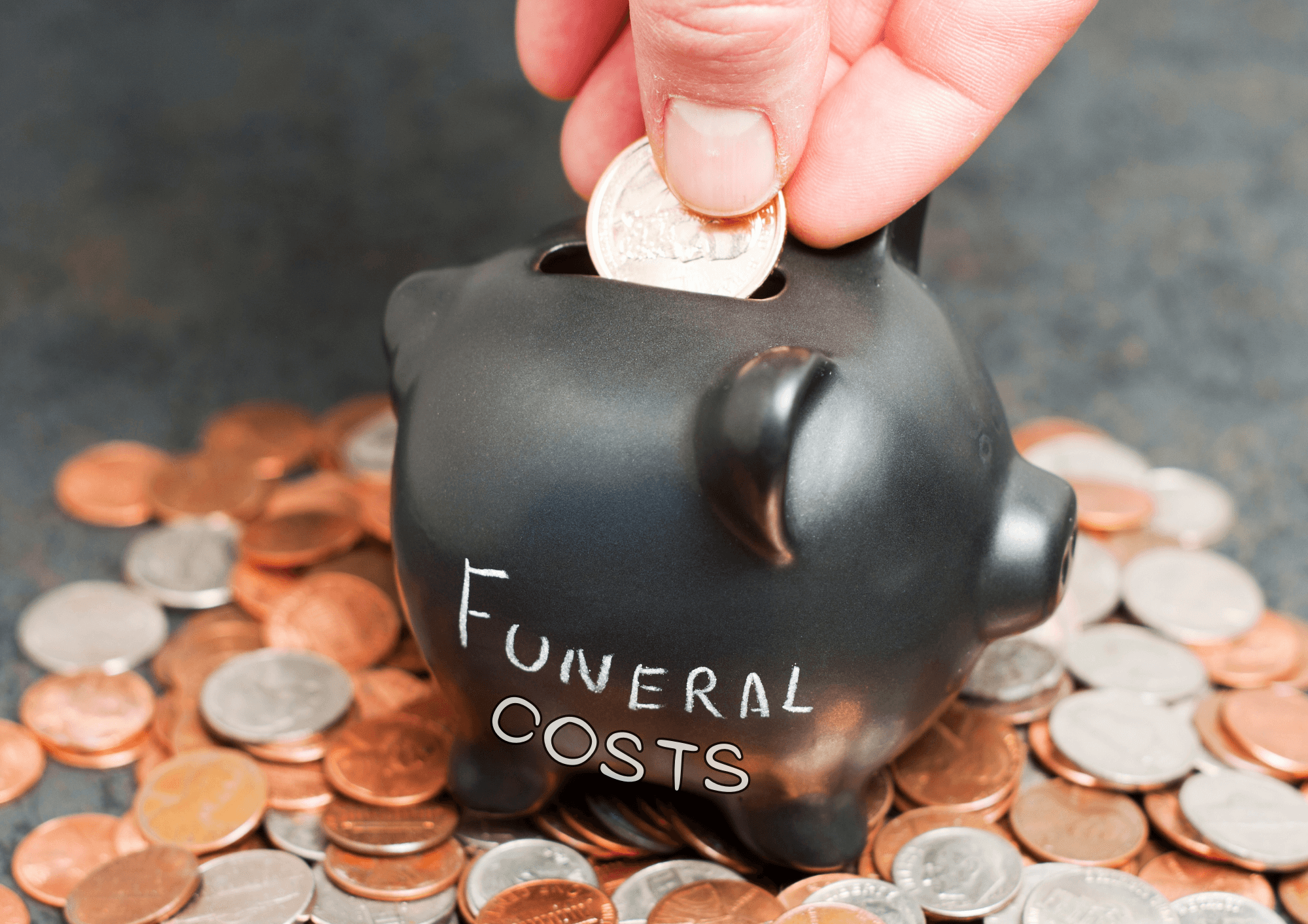 What You Need To Know About Funeral Costs What You Need To Know About Funeral Costs